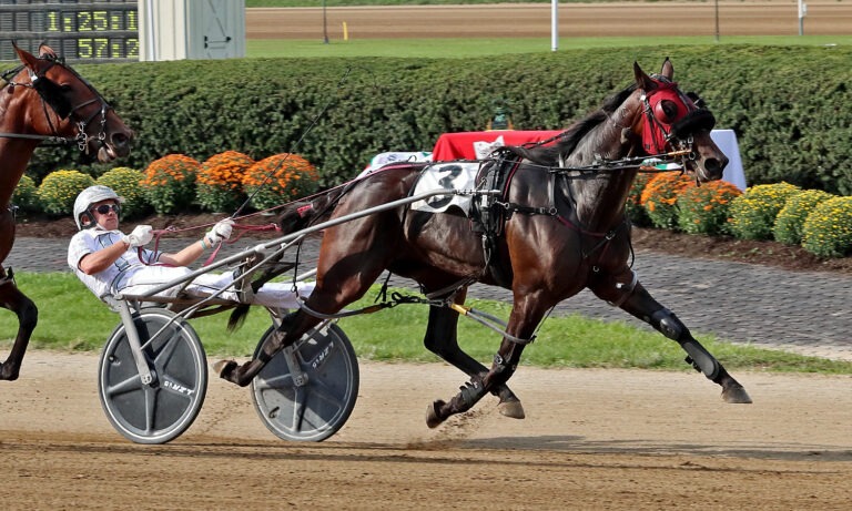 Harness Racing News - My 96.7