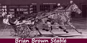 Horsing Around 12-3 - My 96.7