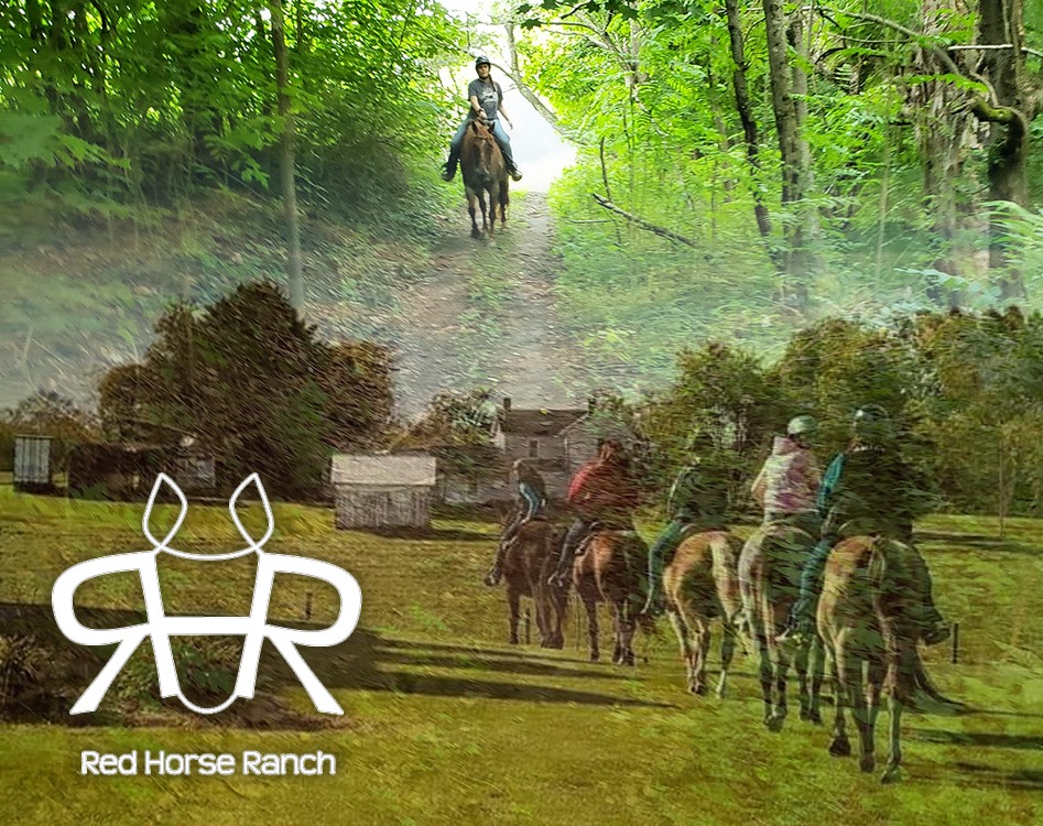 Horsing Around 7-8 - My 96.7